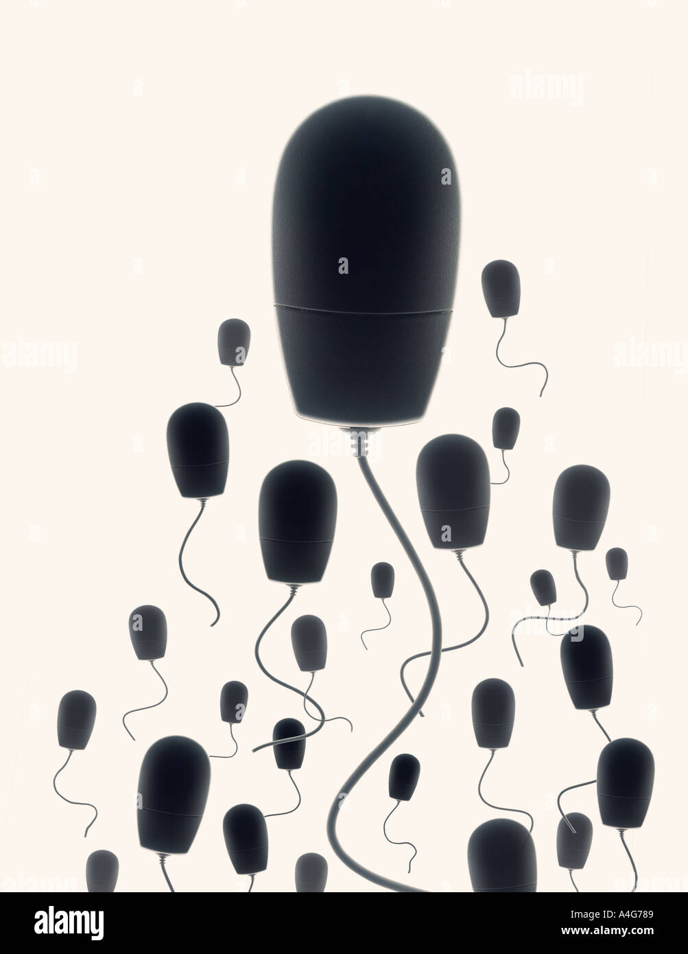 Mouse evolution hi-res stock photography and images - Alamy