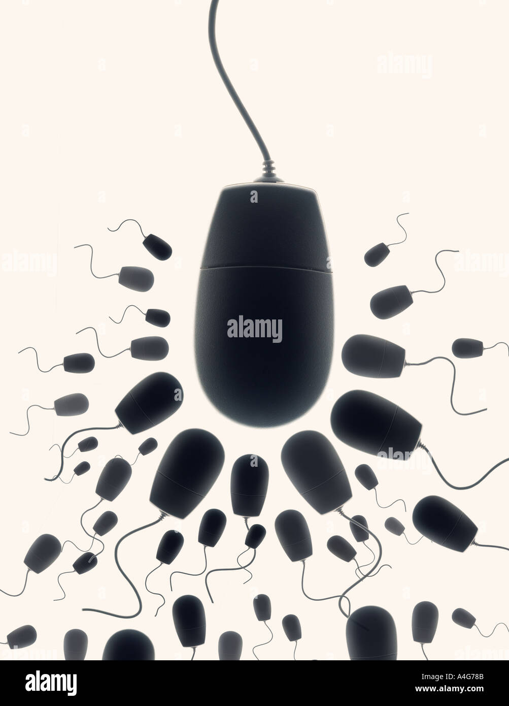 Mouse evolution hi-res stock photography and images - Alamy