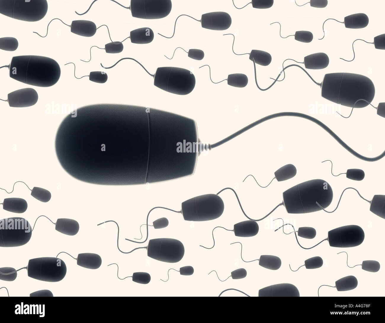 Computer mouse evolution hi-res stock photography and images - Alamy