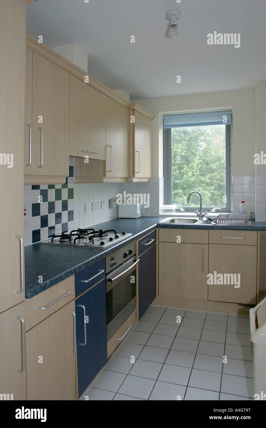 Kitchen in Modern block of apartment flats in Docklands East London UK ...