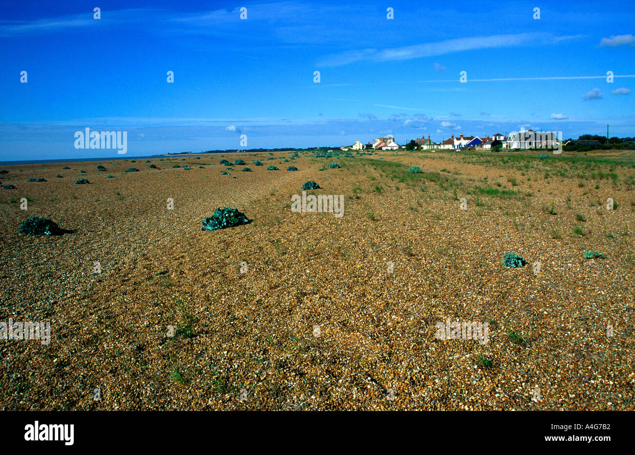 Shingle street Hollesley Bay Suffolk England Stock Photo - Alamy