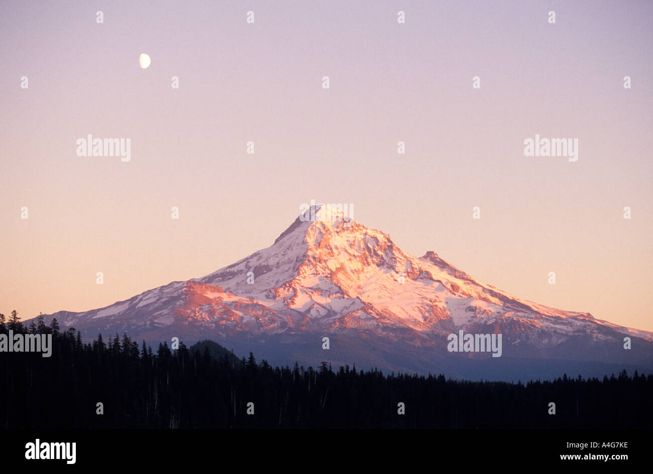 Moon Over Mount Hood Stock Photo - Alamy