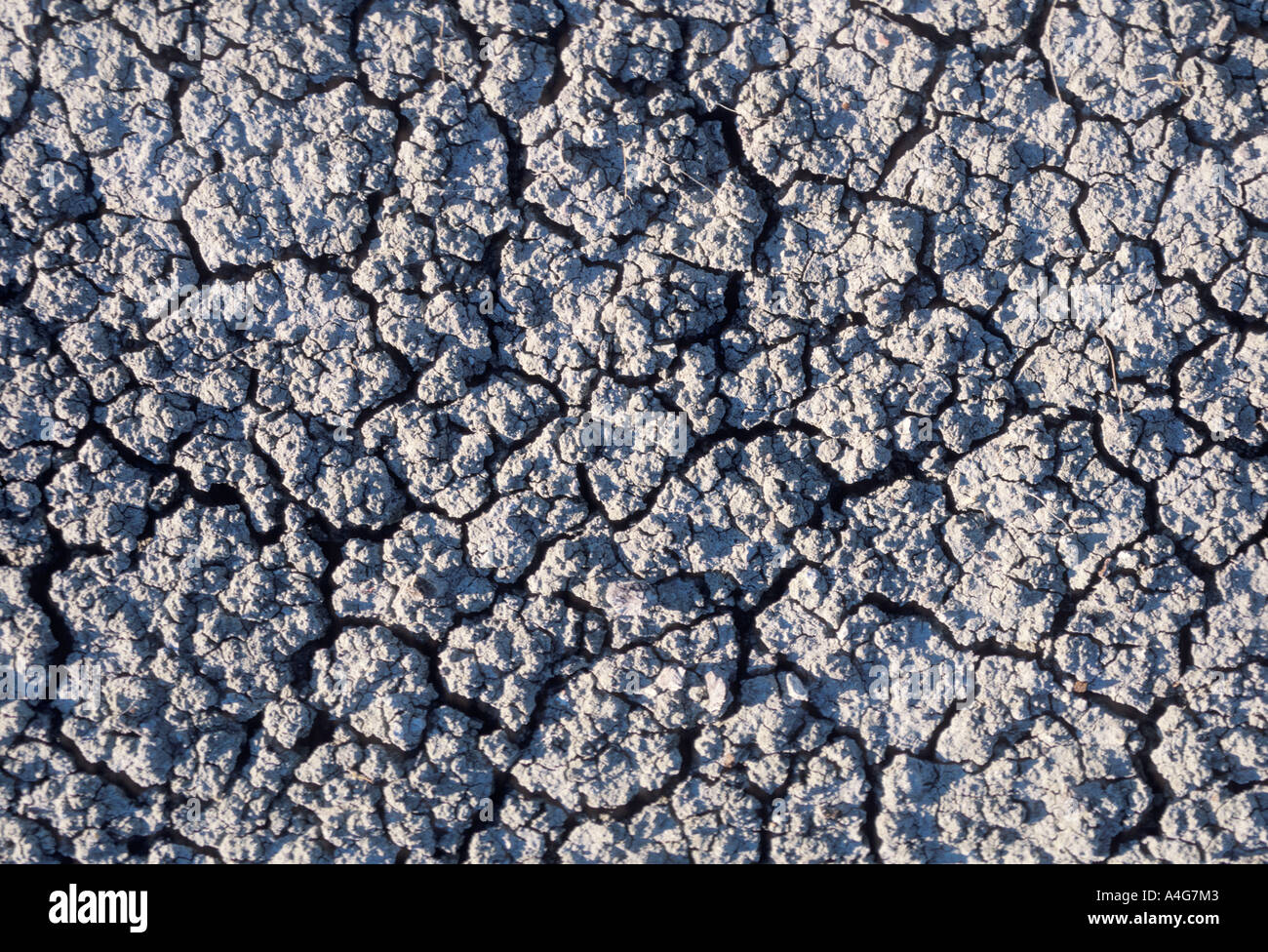 Earth fissures hi-res stock photography and images - Alamy