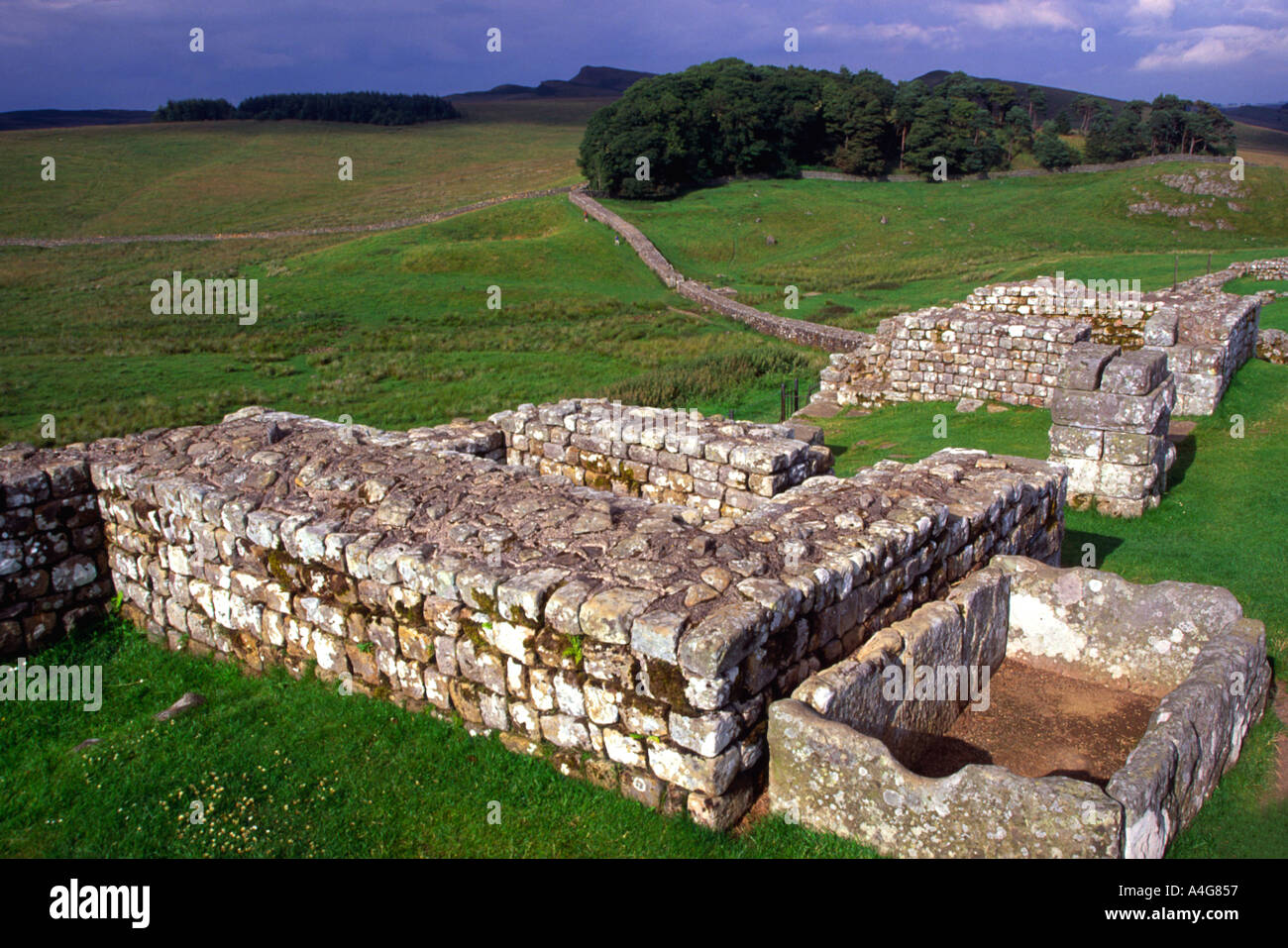 Housesteads roman fort Hadrian s wall Northumberland, England, UK Stock ...