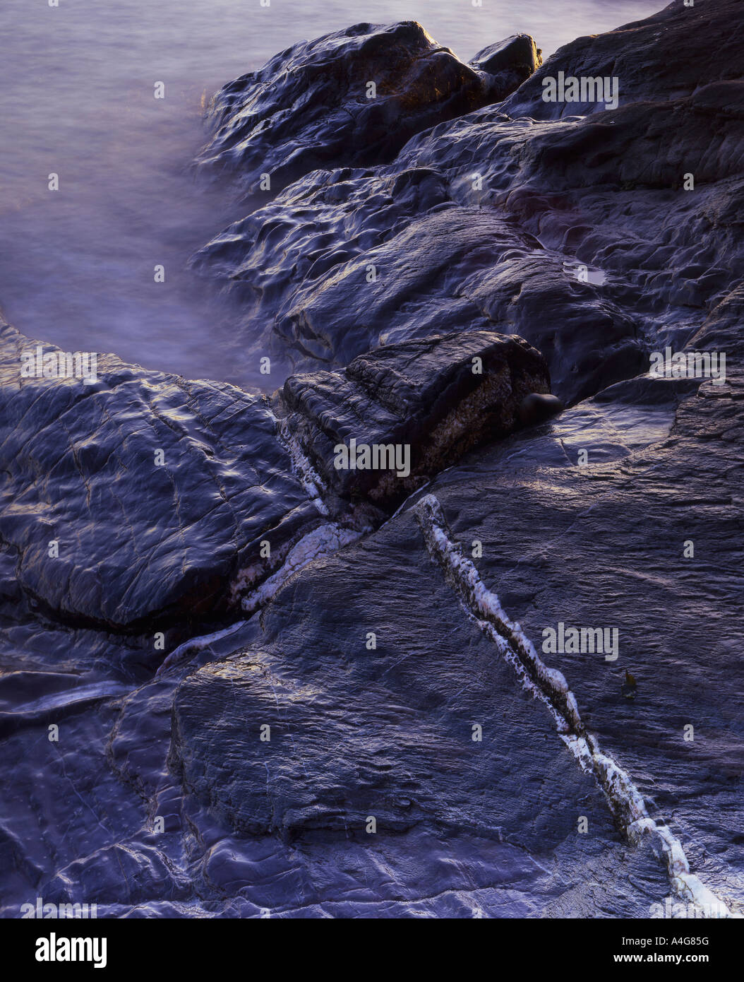 Shore detail, Ardmucknish Bay, Benderloch, Argyll Stock Photo - Alamy