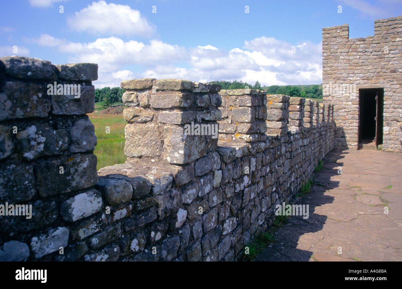 Vindolanda fort and museum hi-res stock photography and images - Alamy