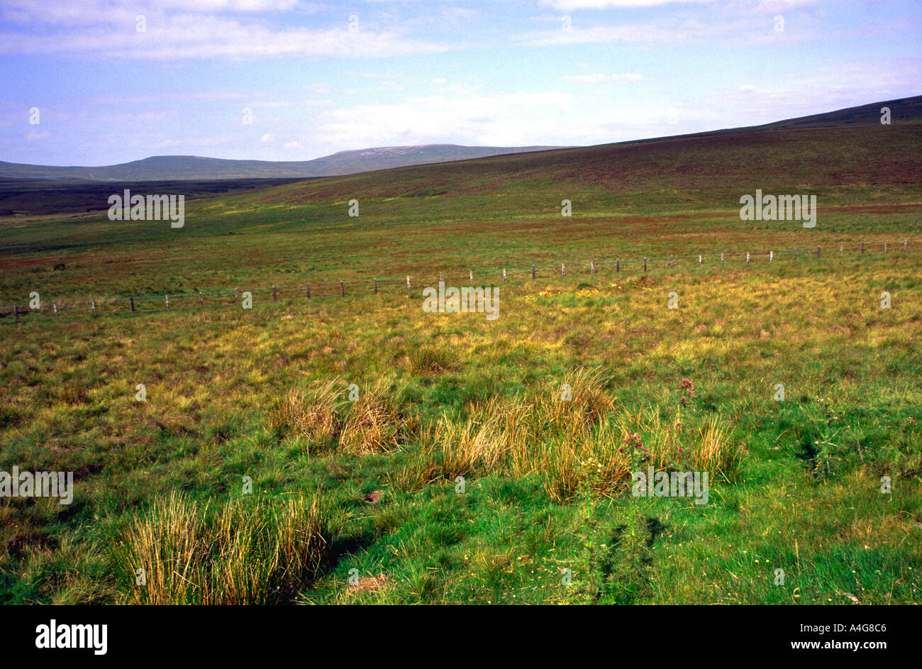 Moorland Upper Teesdale northern Pennines England Stock Photo - Alamy