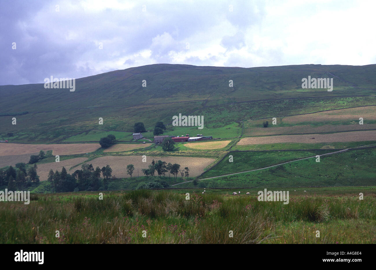 Alston moor northern Pennines England Stock Photo - Alamy
