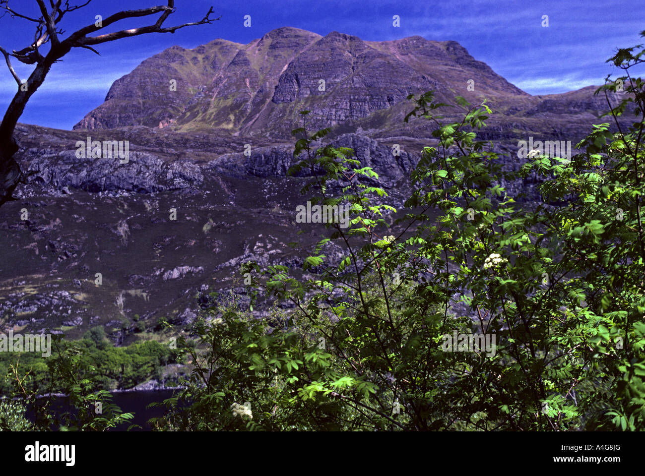 Slioch from Loch Maree. Letterewe, Scotland, U.K., Europe Stock Photo ...