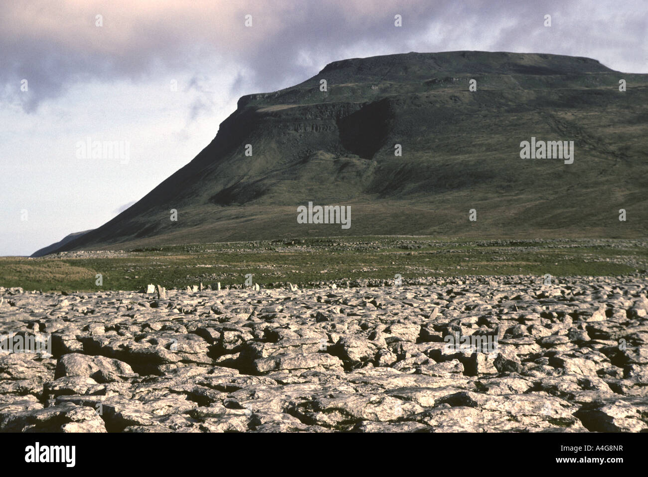 Ingleborough from White Scars limestone pavement. Yorkshire Dales ...