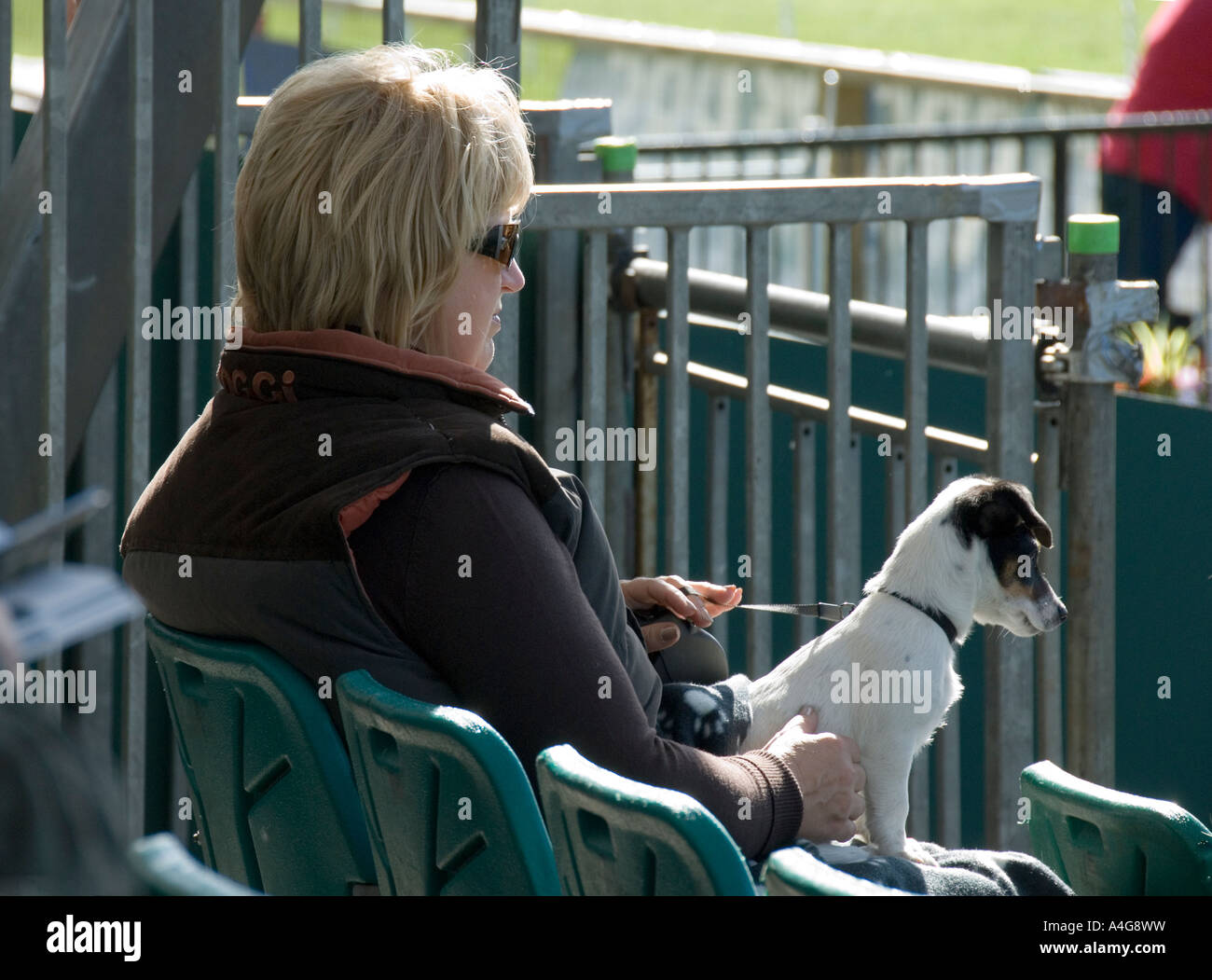 Spectator grandstand hi-res stock photography and images - Alamy