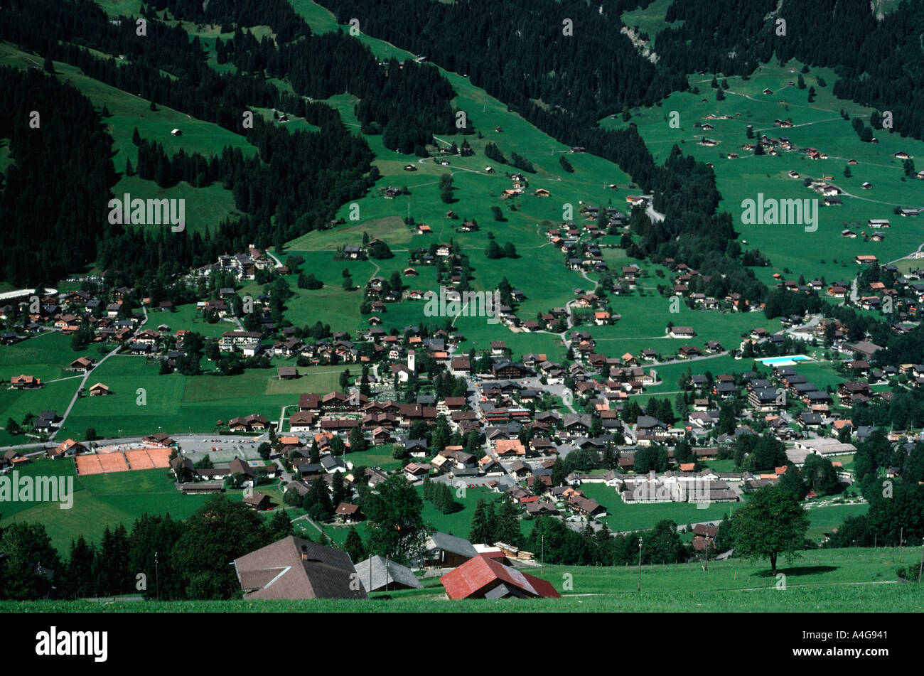 The town of Lenk in Switzerland surrounded by alpine pasture Stock ...