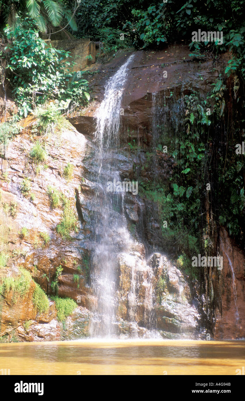Borneo jungle waterfall Brunei Stock Photo - Alamy