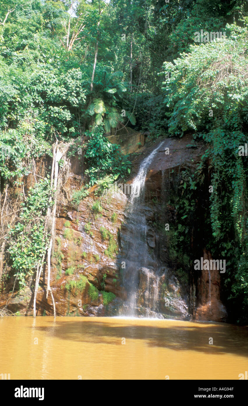 Borneo jungle waterfall Brunei Taman Peranginan Tasik Recreational Park ...