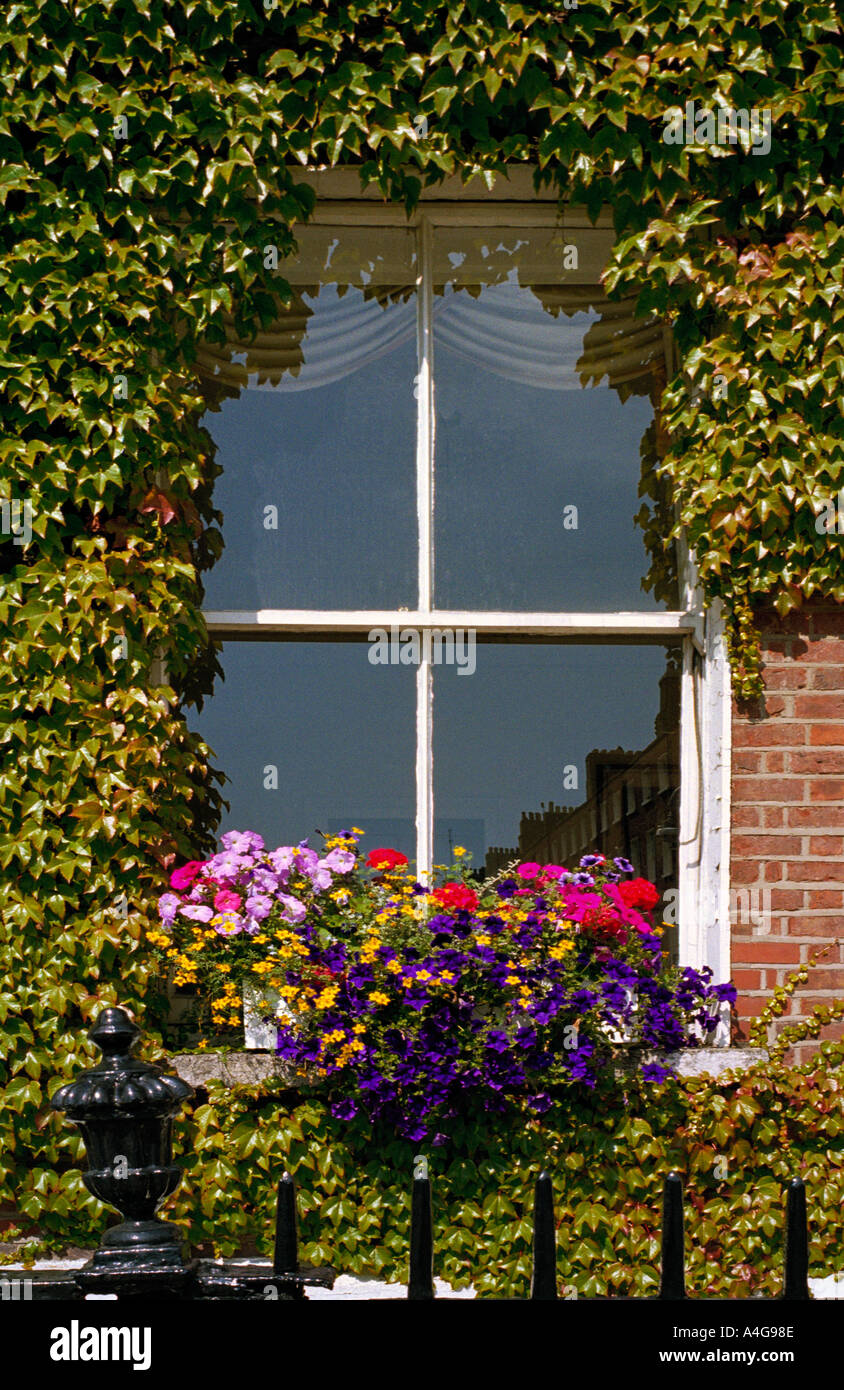 Dublin Georgian Window Georgian Window | Georgian Windows Ireland
