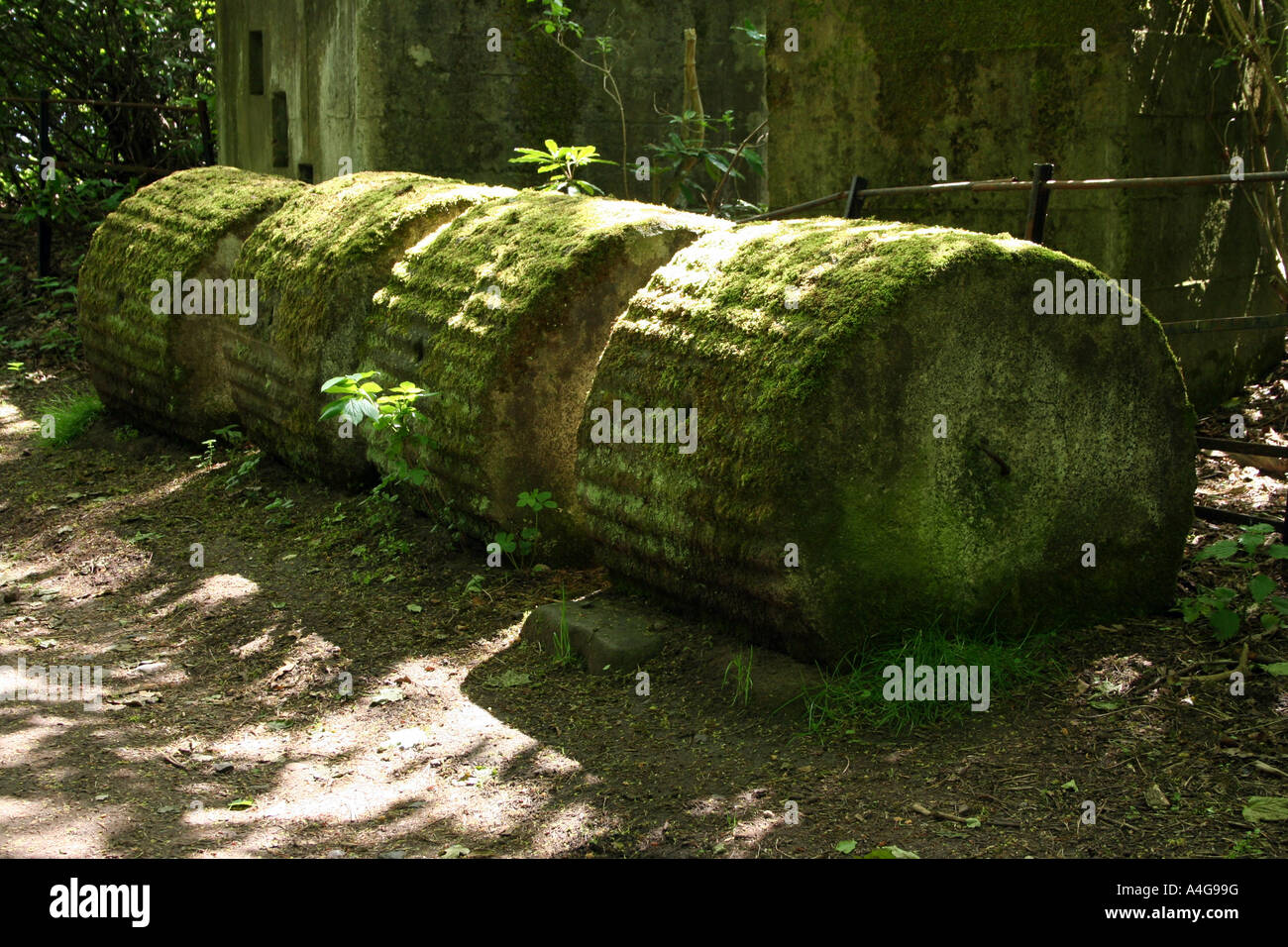 Disused broken stone round pillar covered with green moss Stock Photo ...