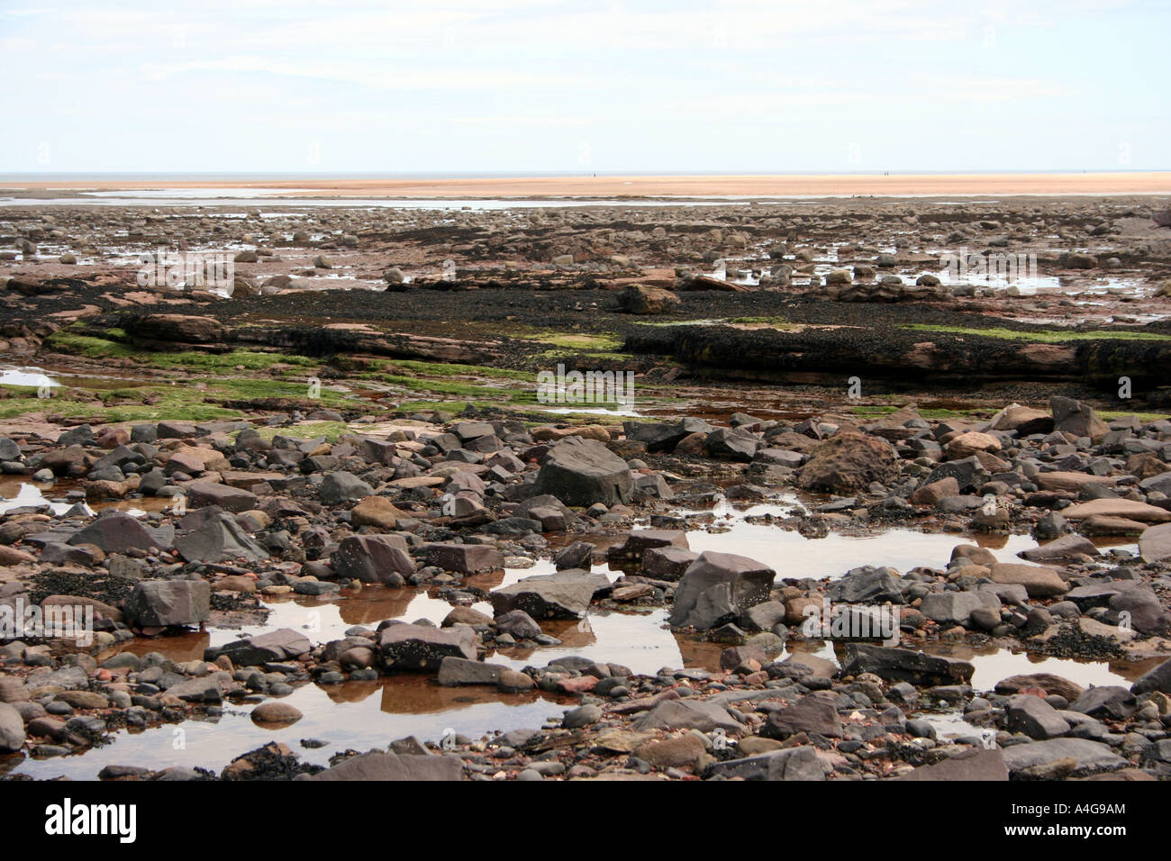 Stone boulder at sea shore beach in Scotland Stock Photo - Alamy