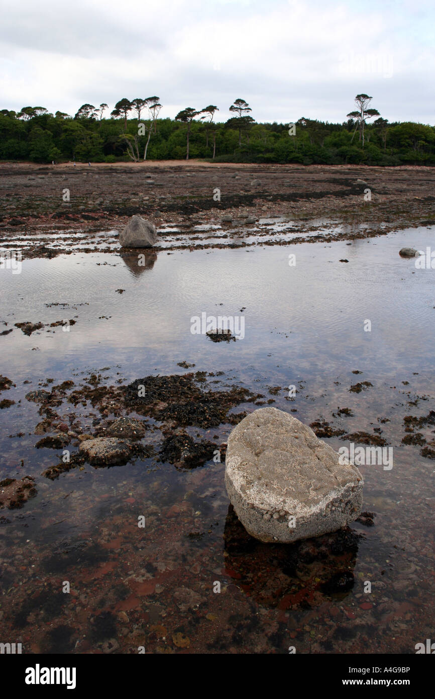 Stone boulder at sea shore beach in Scotland Stock Photo - Alamy