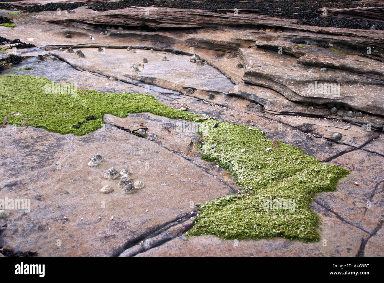 Stone terraces at sea shore beach in Scotland Stock Photo - Alamy