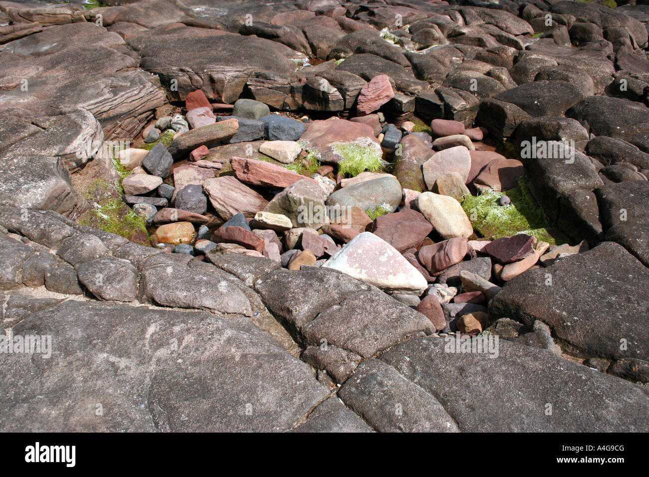 Colourful pebbles in stone pit on seashore in Scotland Stock Photo - Alamy