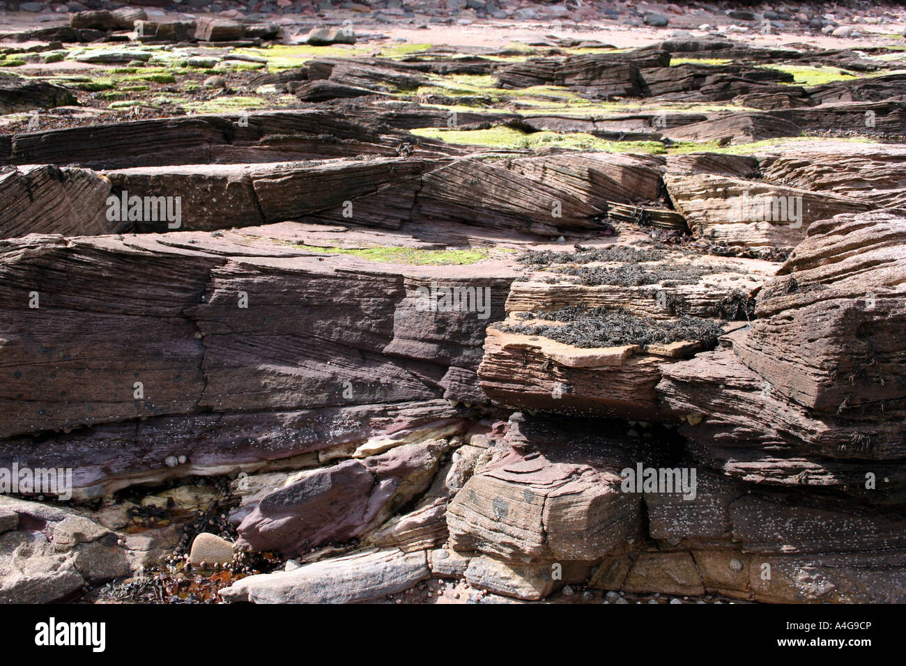 Stone terraces at sea shore beach in Scotland Stock Photo - Alamy