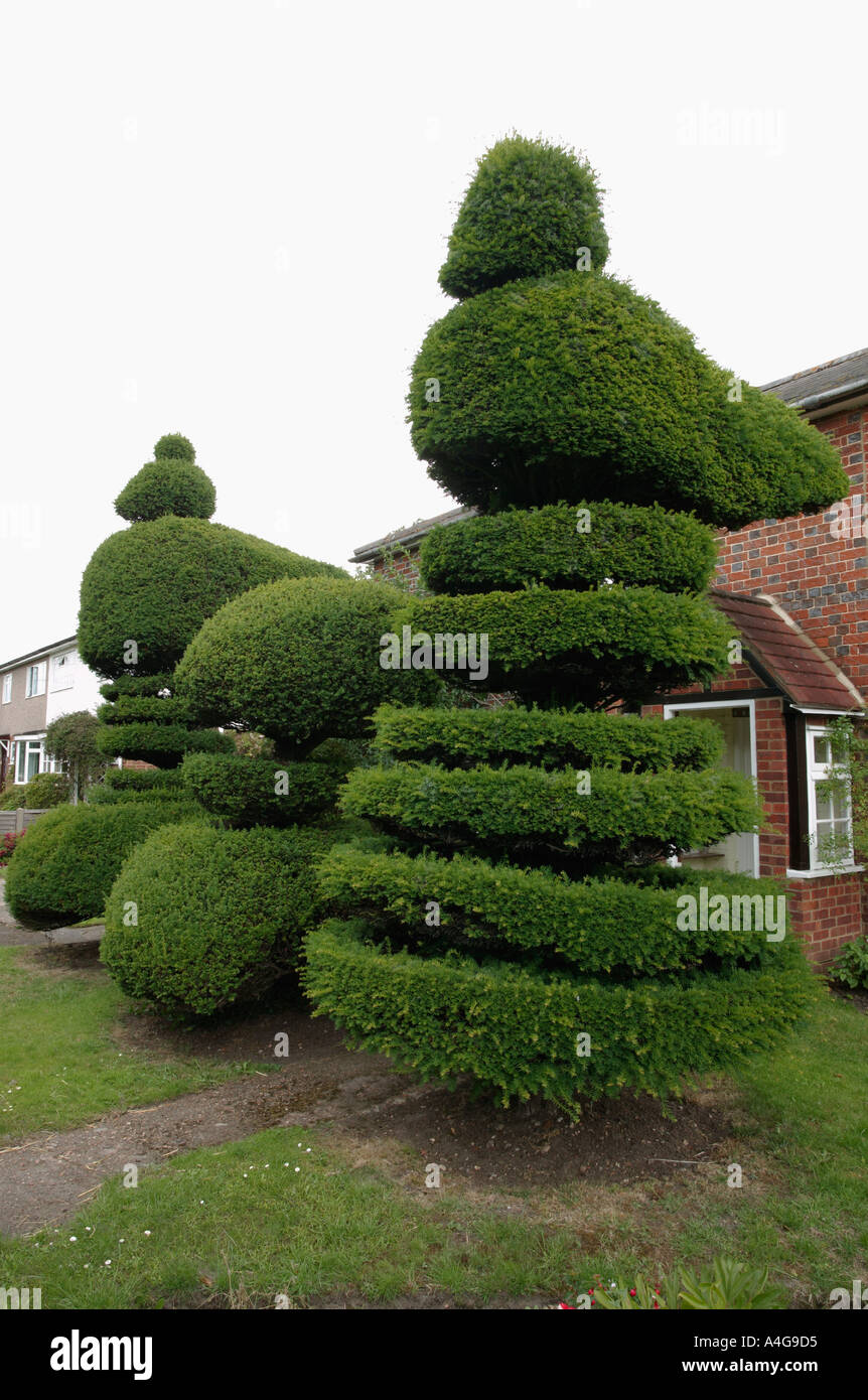 Topiary Ducks near Dinton Pastures Hurst Stock Photo - Alamy