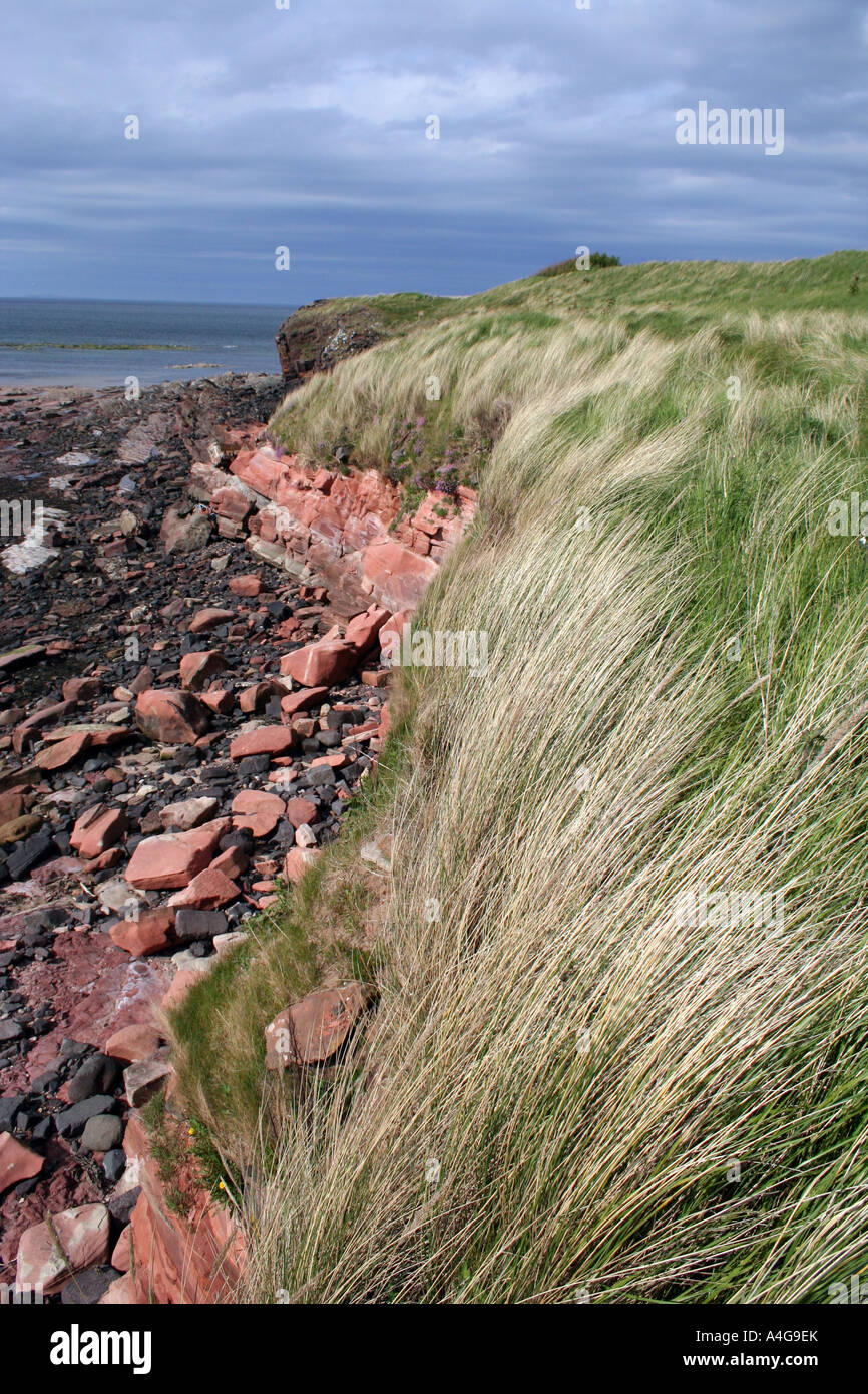 Beach seashore with colourful pebbles in northern Scotland Stock Photo ...