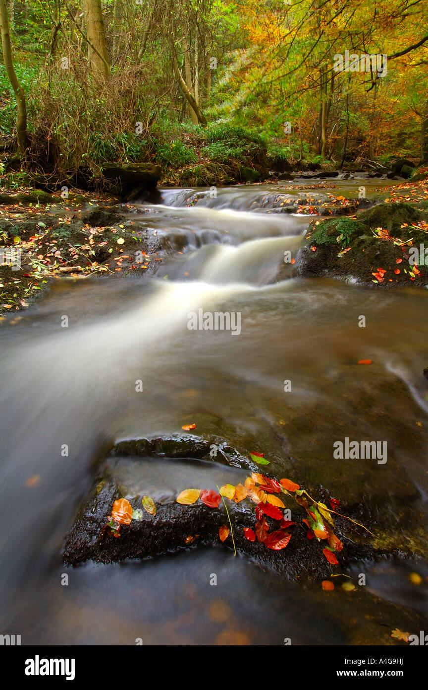 Littlebeck hi-res stock photography and images - Alamy