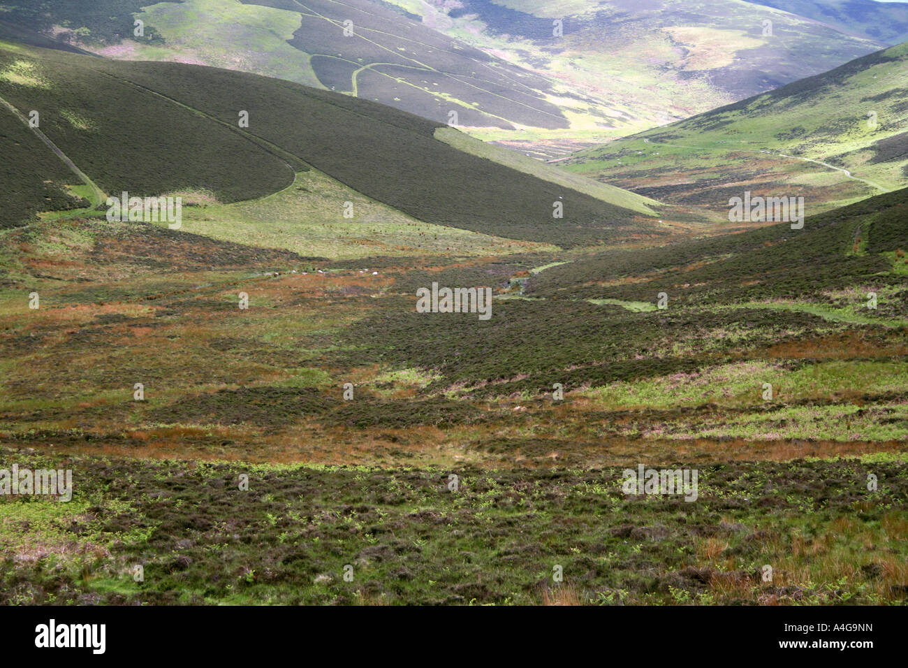 Hills, scottish countryside alongside John Buchan Way, Peeblesshire ...