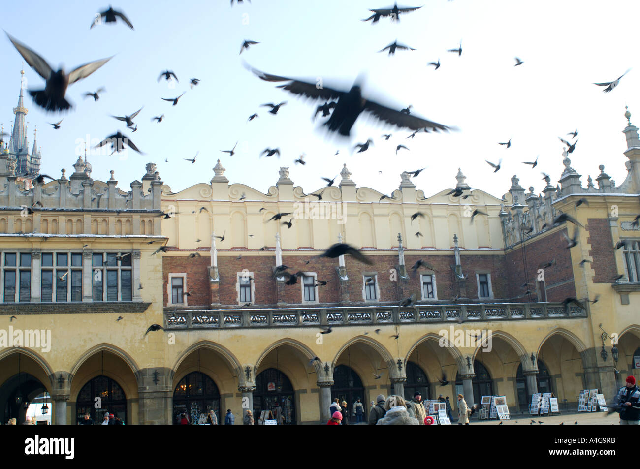 Pigeons flying market square hi-res stock photography and images - Alamy