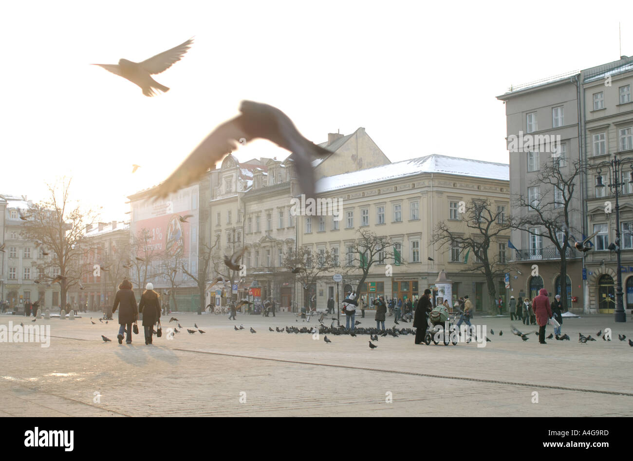 Pigeons flying market square hi-res stock photography and images - Alamy