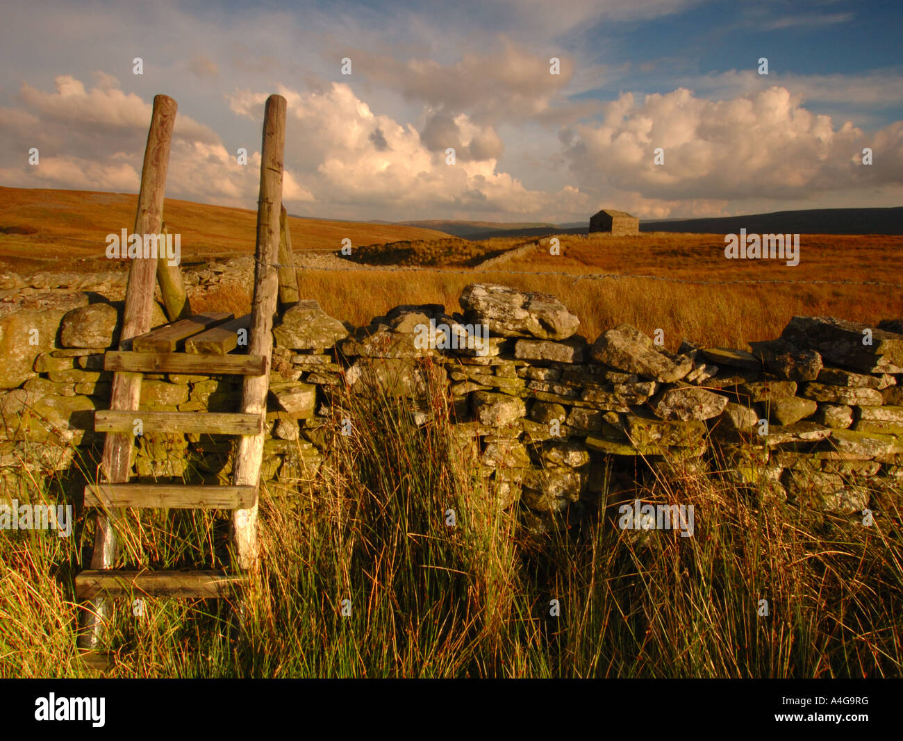 Ravenseat hi-res stock photography and images - Alamy