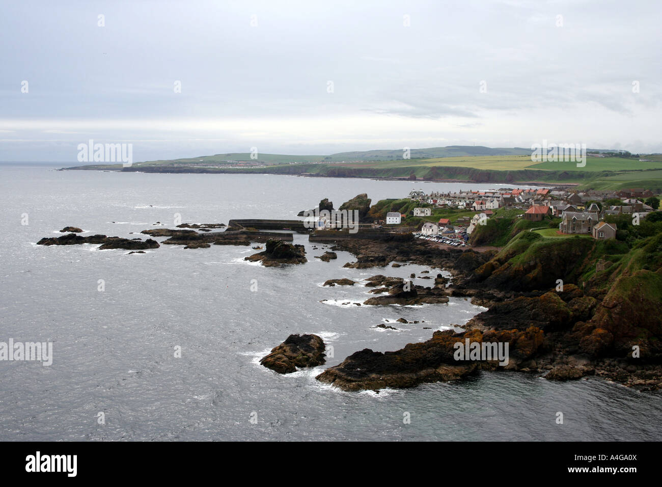 Cliffs at St. Abbs seashore, Scotland Stock Photo - Alamy