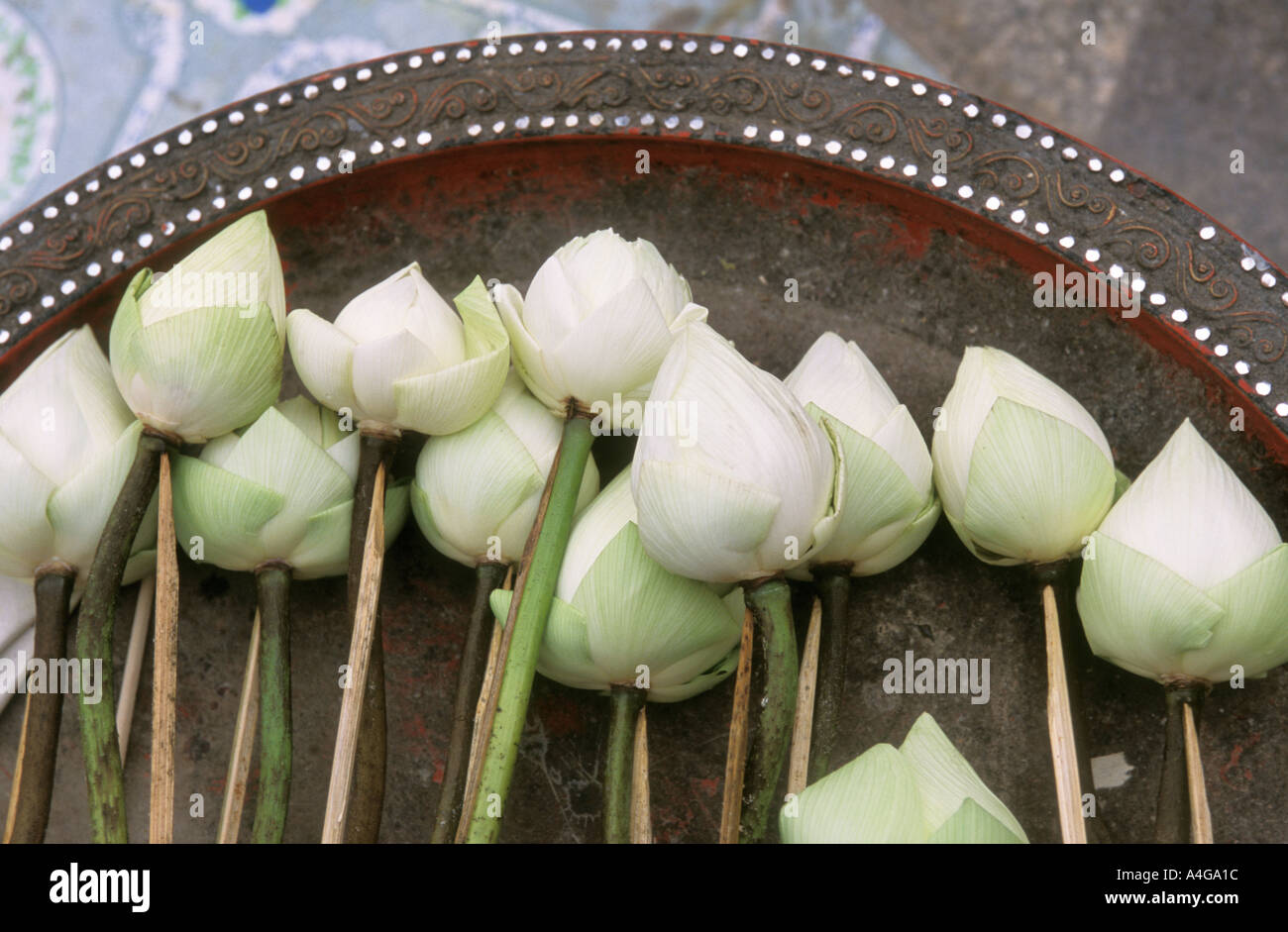 Flower Offerings At Buddhist Temple Stock Photo - Alamy
