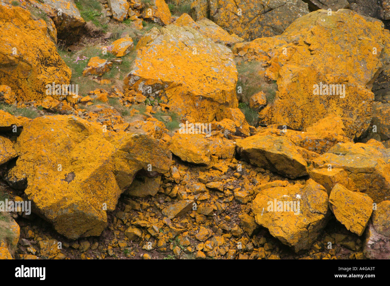 Colourful orange rust hi-res stock photography and images - Alamy