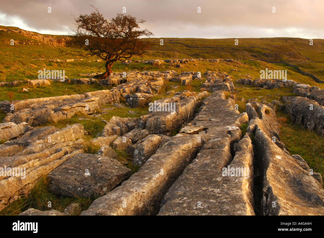 Winskill stones nature reserve hi-res stock photography and images - Alamy