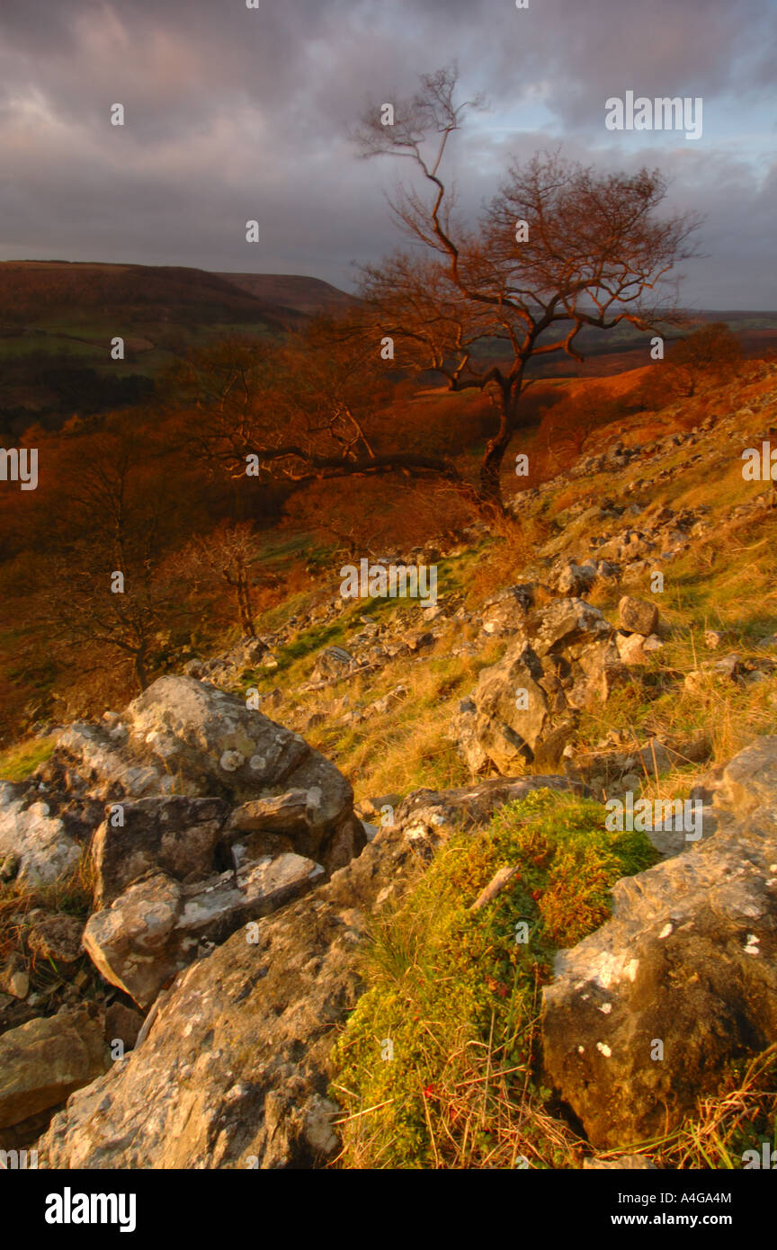 Hawnby Hill, Hawnby, North Yorkshire Moors Stock Photo - Alamy