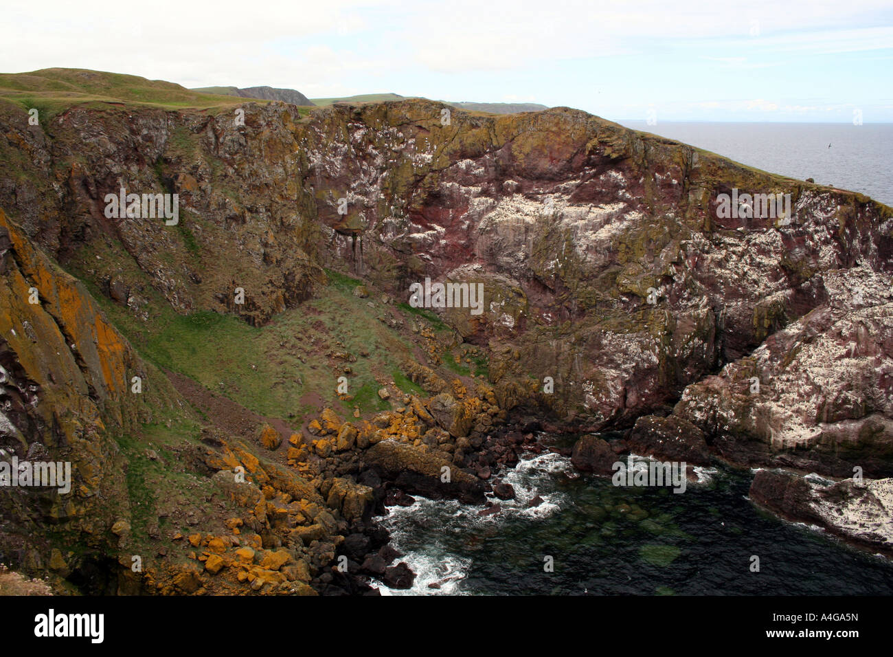 Cliffs at St. Abbs seashore, Scotland Stock Photo - Alamy