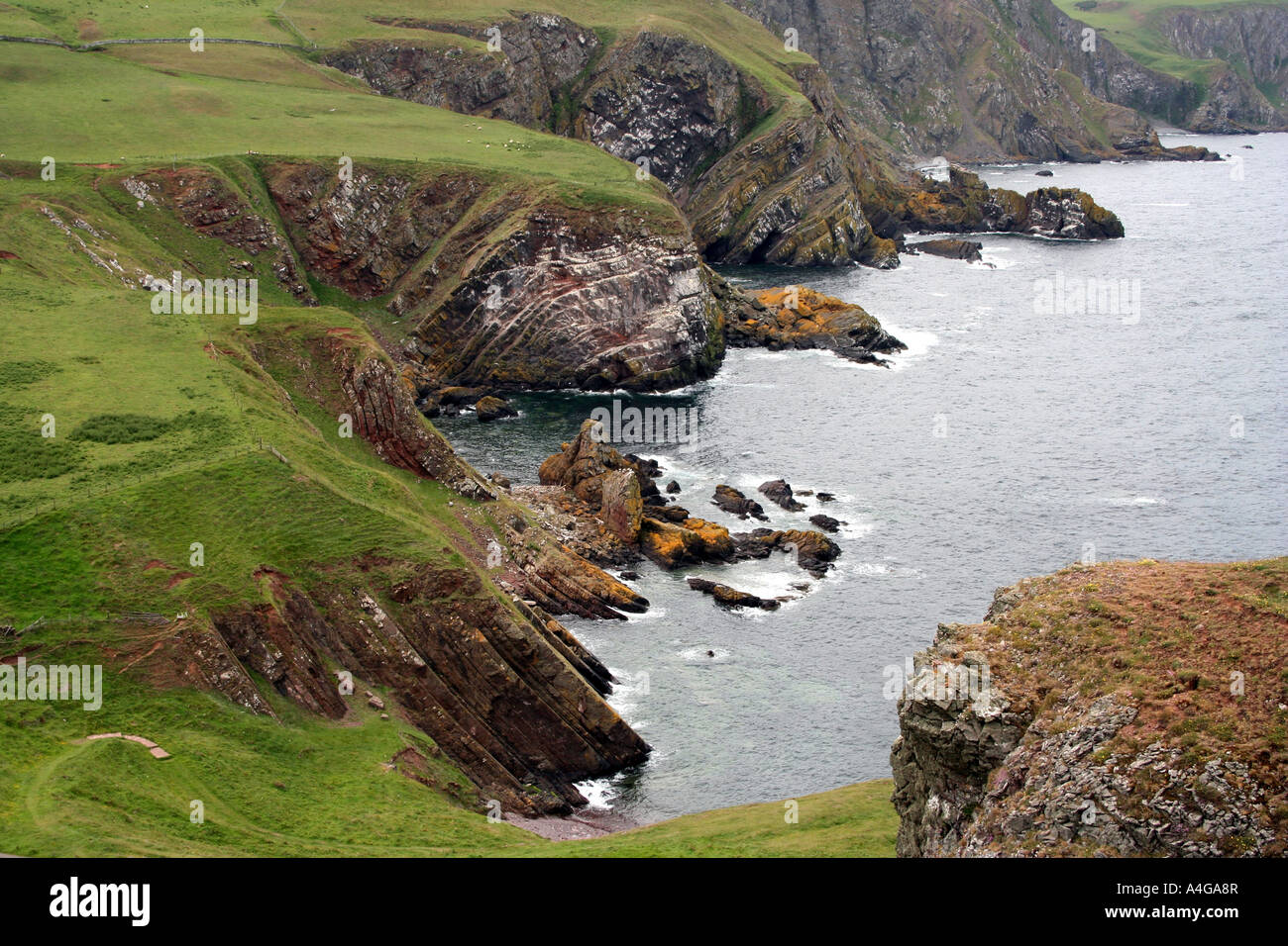 Cliffs at St. Abbs seashore, Scotland Stock Photo - Alamy