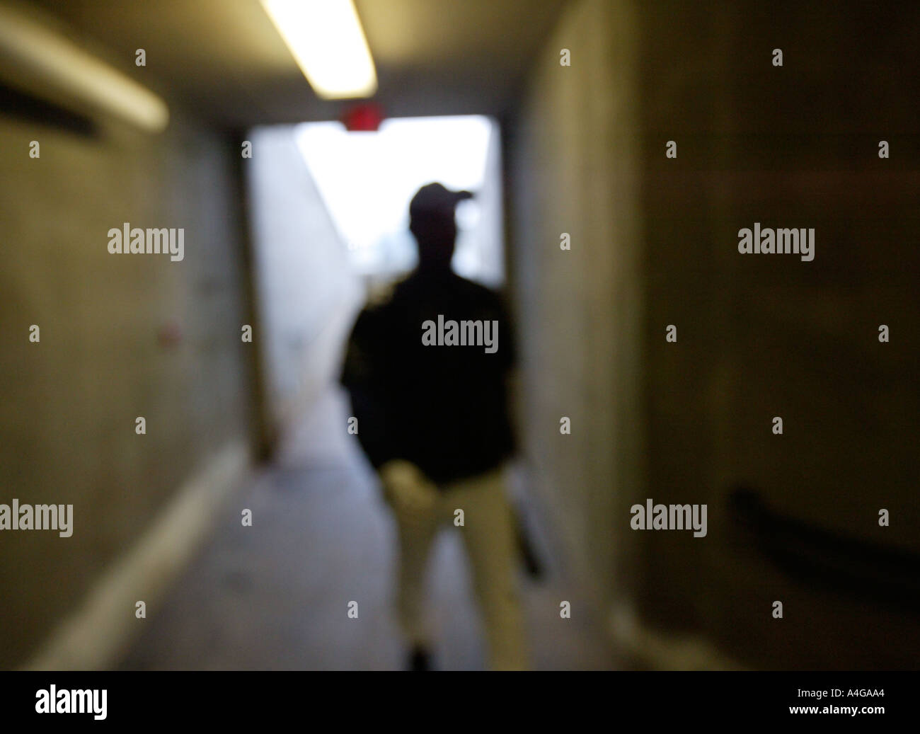 Baseball player walking with a bat Stock Photo - Alamy