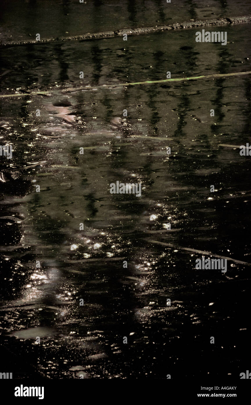 Puddle reflection face hi-res stock photography and images - Alamy