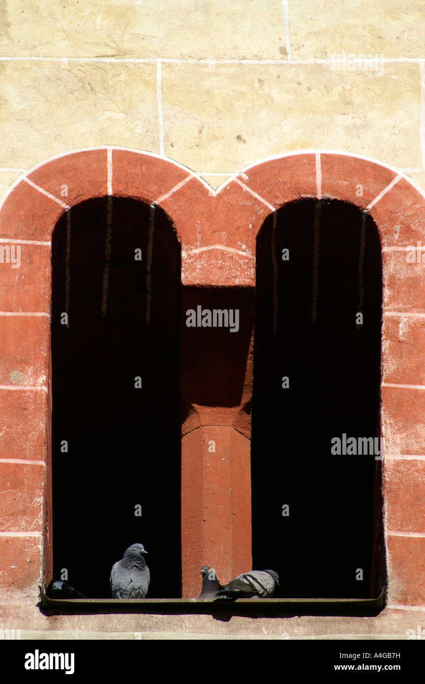 Arc open window and pigeons, gothic medieval church in Banska Bystrica ...