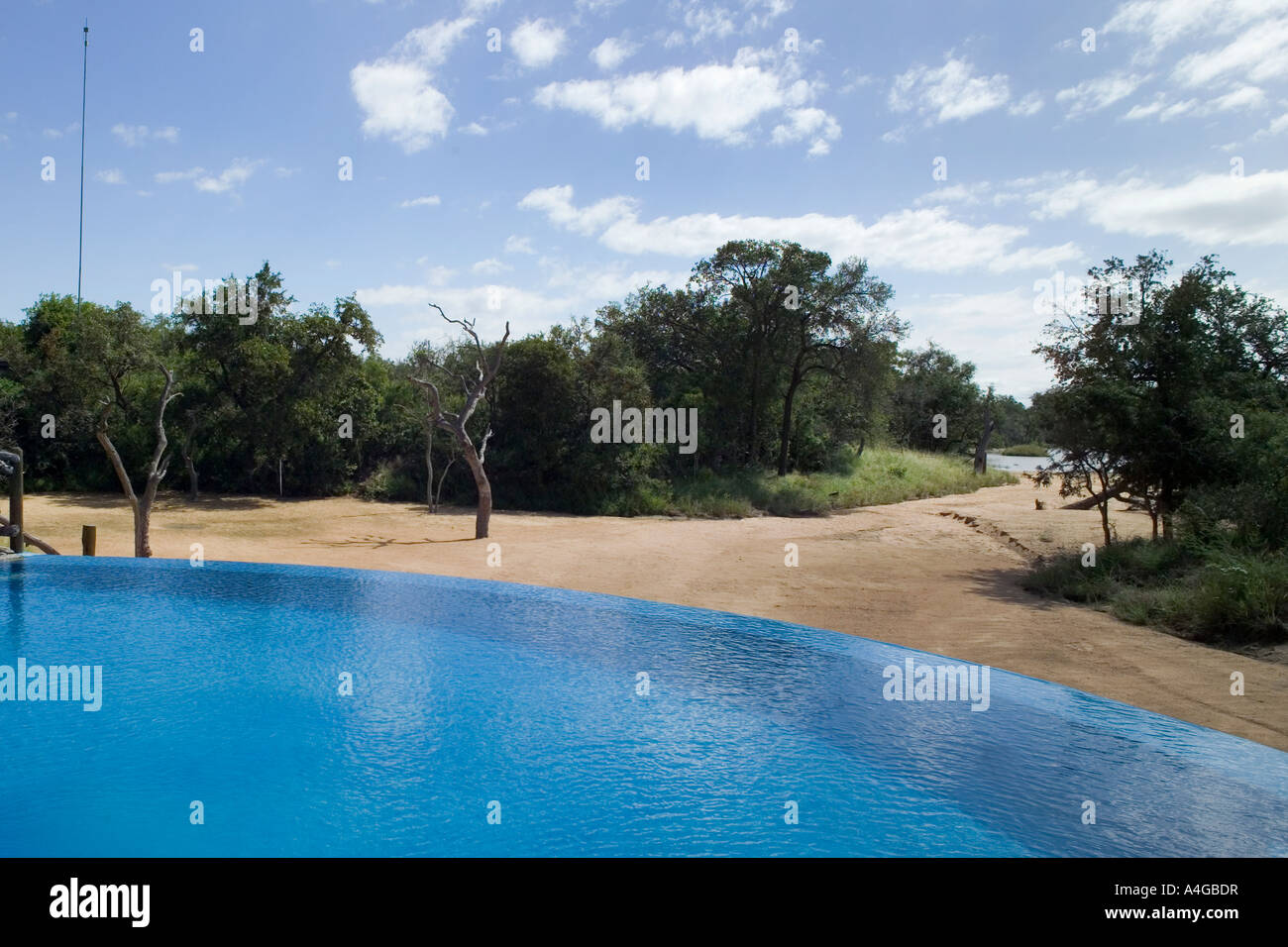 Infinity pool in South Africa bush Stock Photo - Alamy