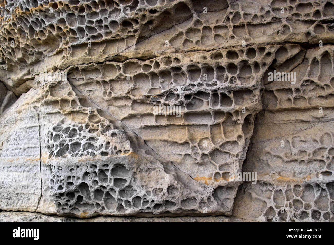 Patterns honeycomb weathering hi-res stock photography and images - Alamy
