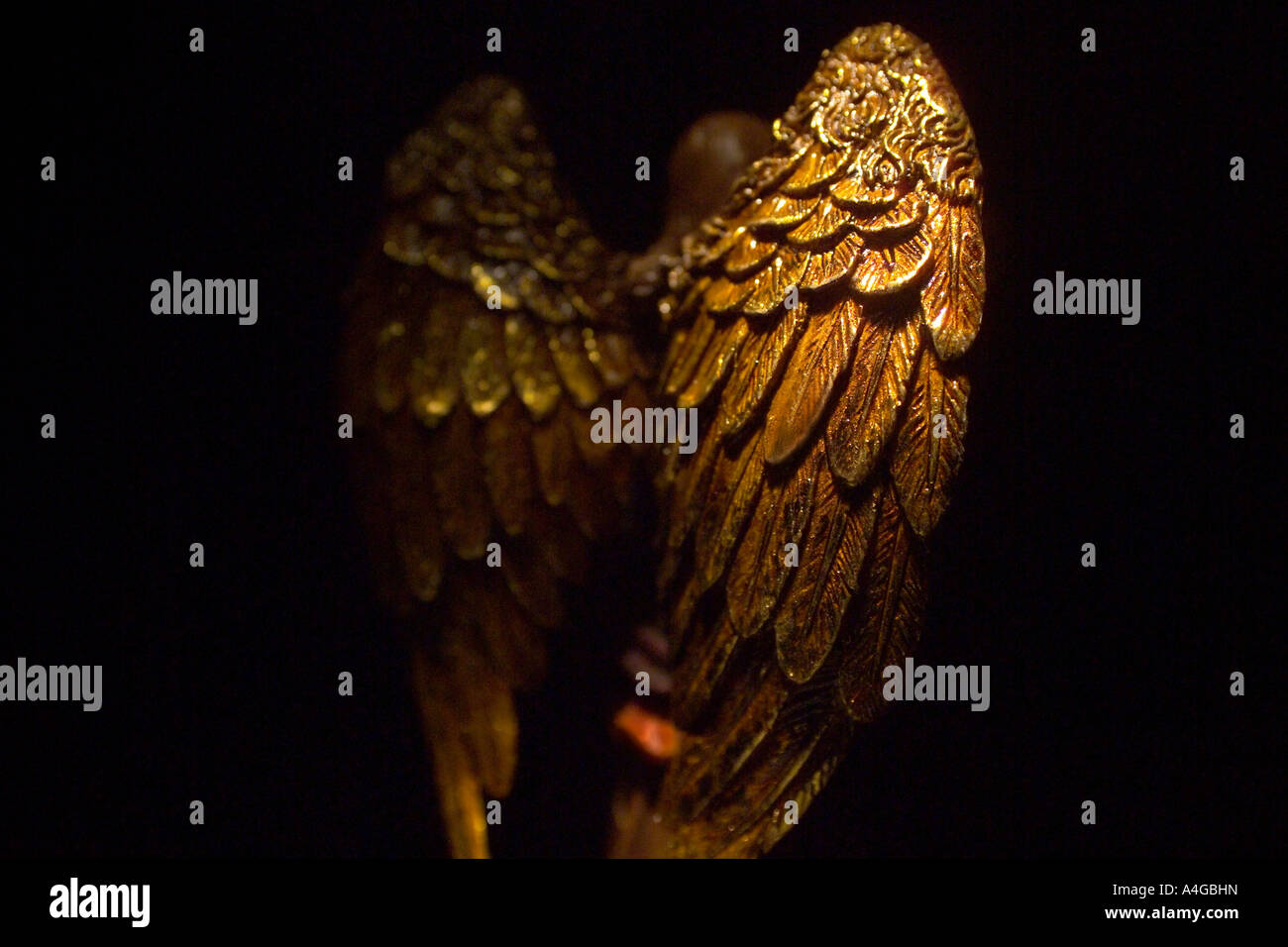 Angels wings hi-res stock photography and images - Alamy