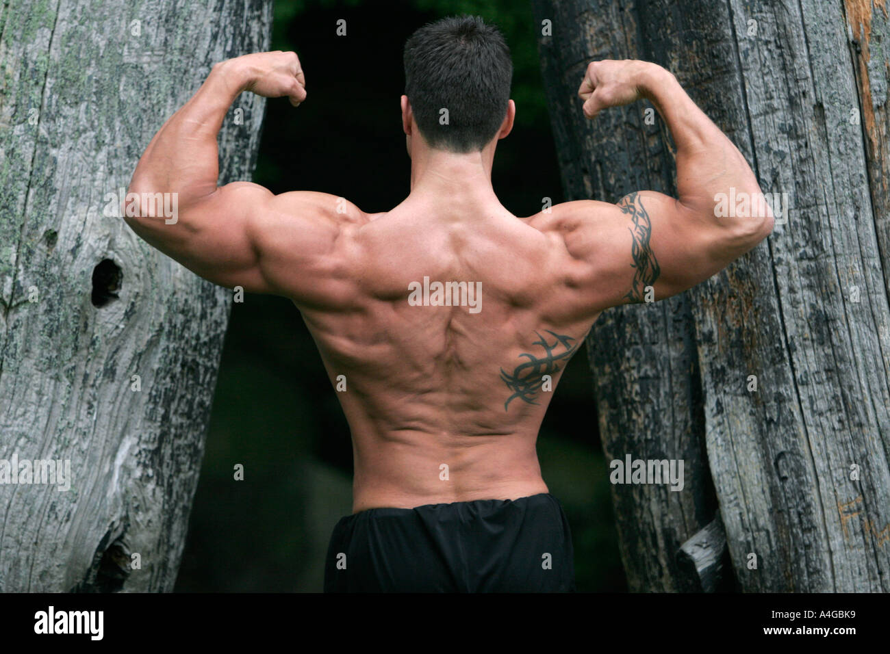 Male body builder pose hi-res stock photography and images - Alamy