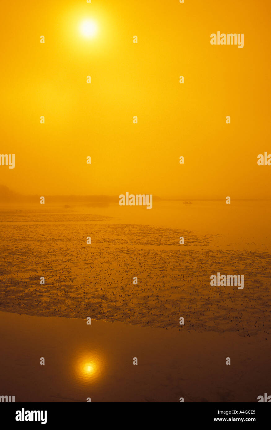 Okarito Lagoon New Zealand Stock Photo - Alamy