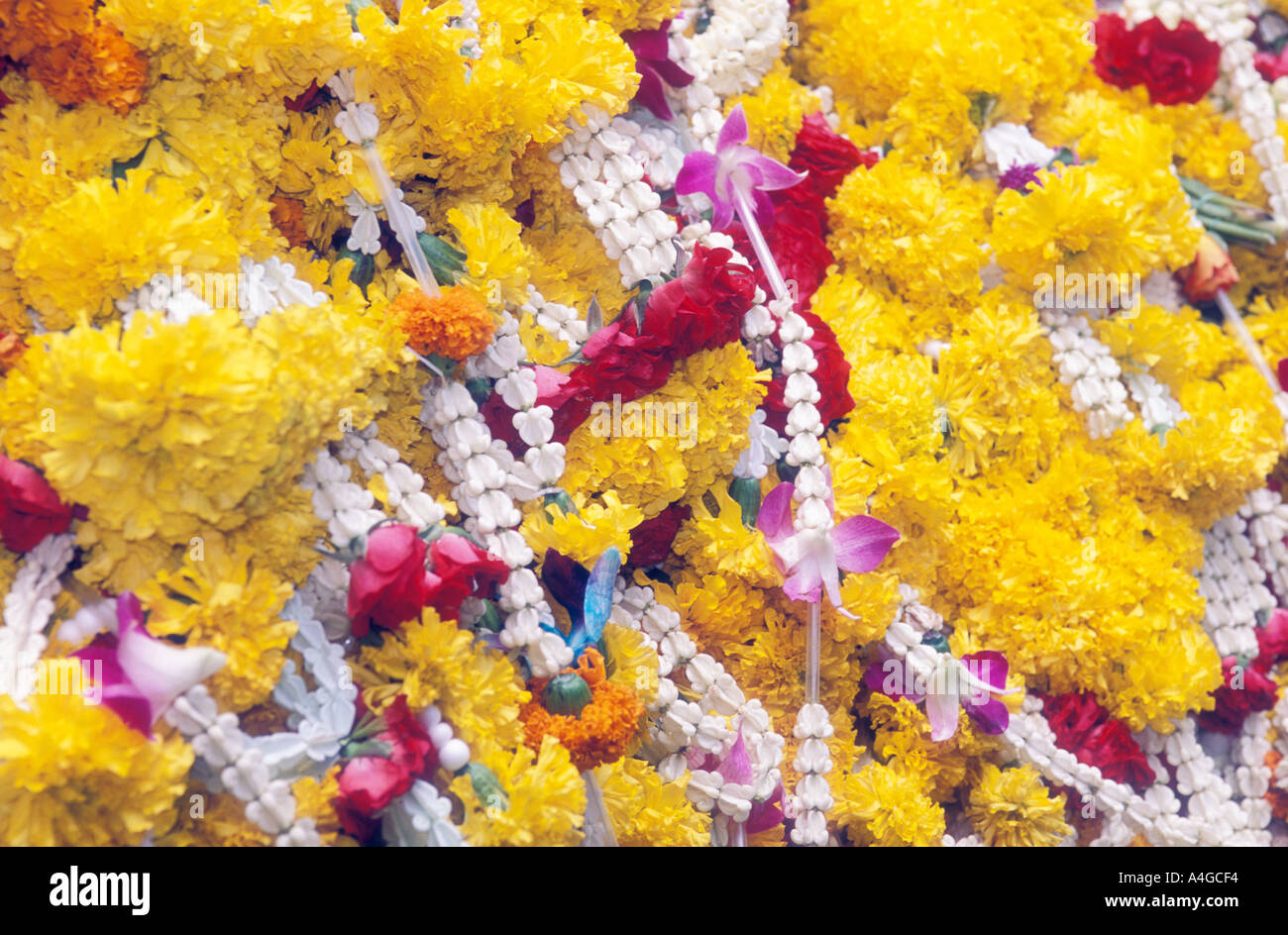 Flower Garland Buddhist Offering Thailand Stock Photo - Alamy