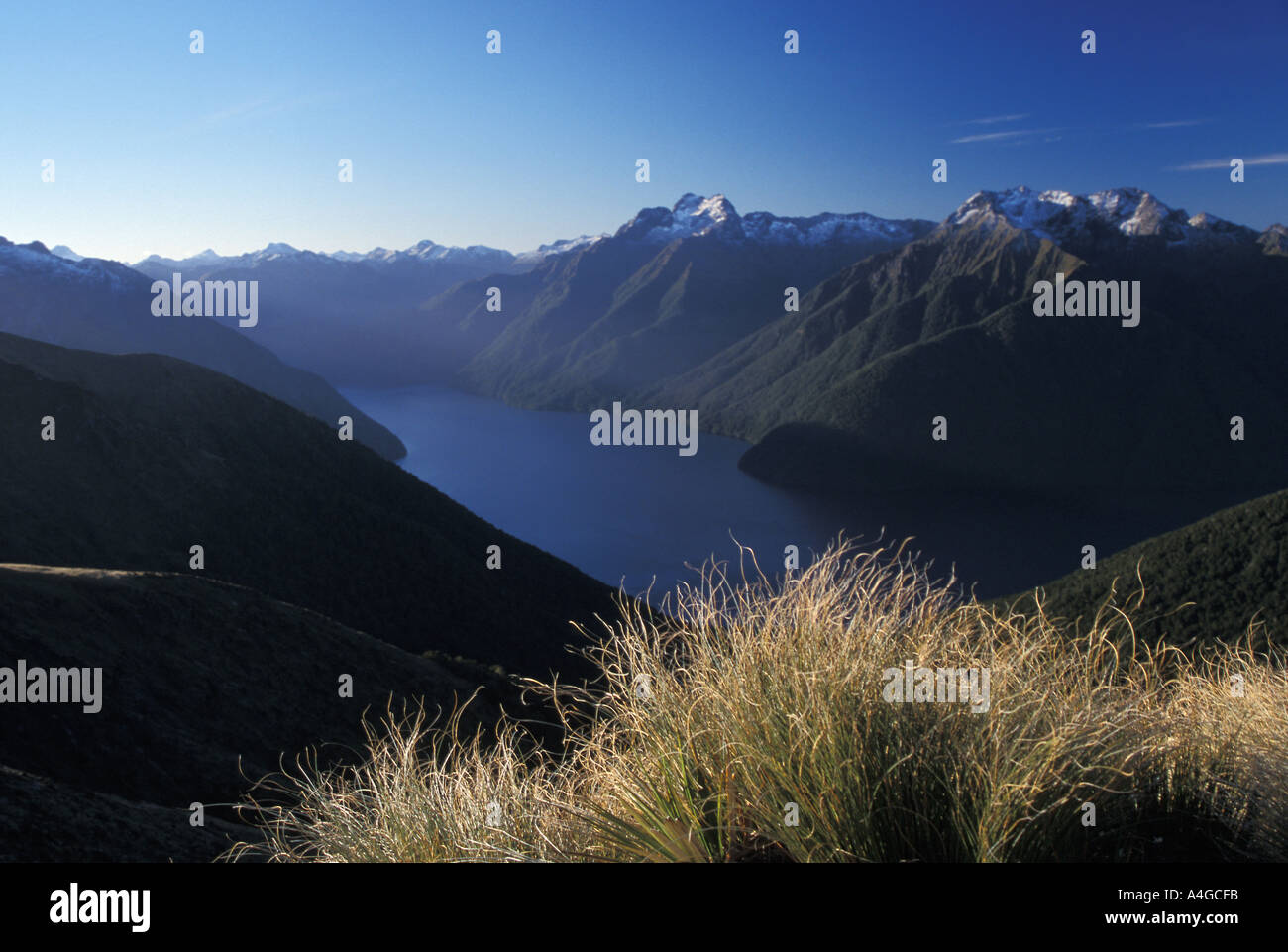 Kepler Track Fiordland National Park New Zealand Stock Photo - Alamy