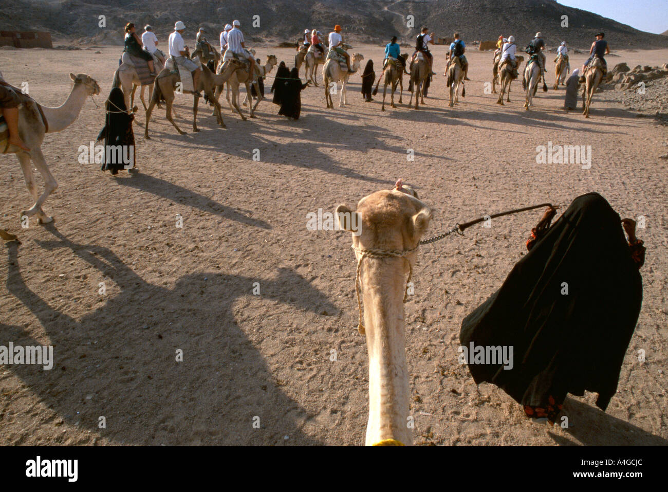 Bedouin camp hi-res stock photography and images - Alamy